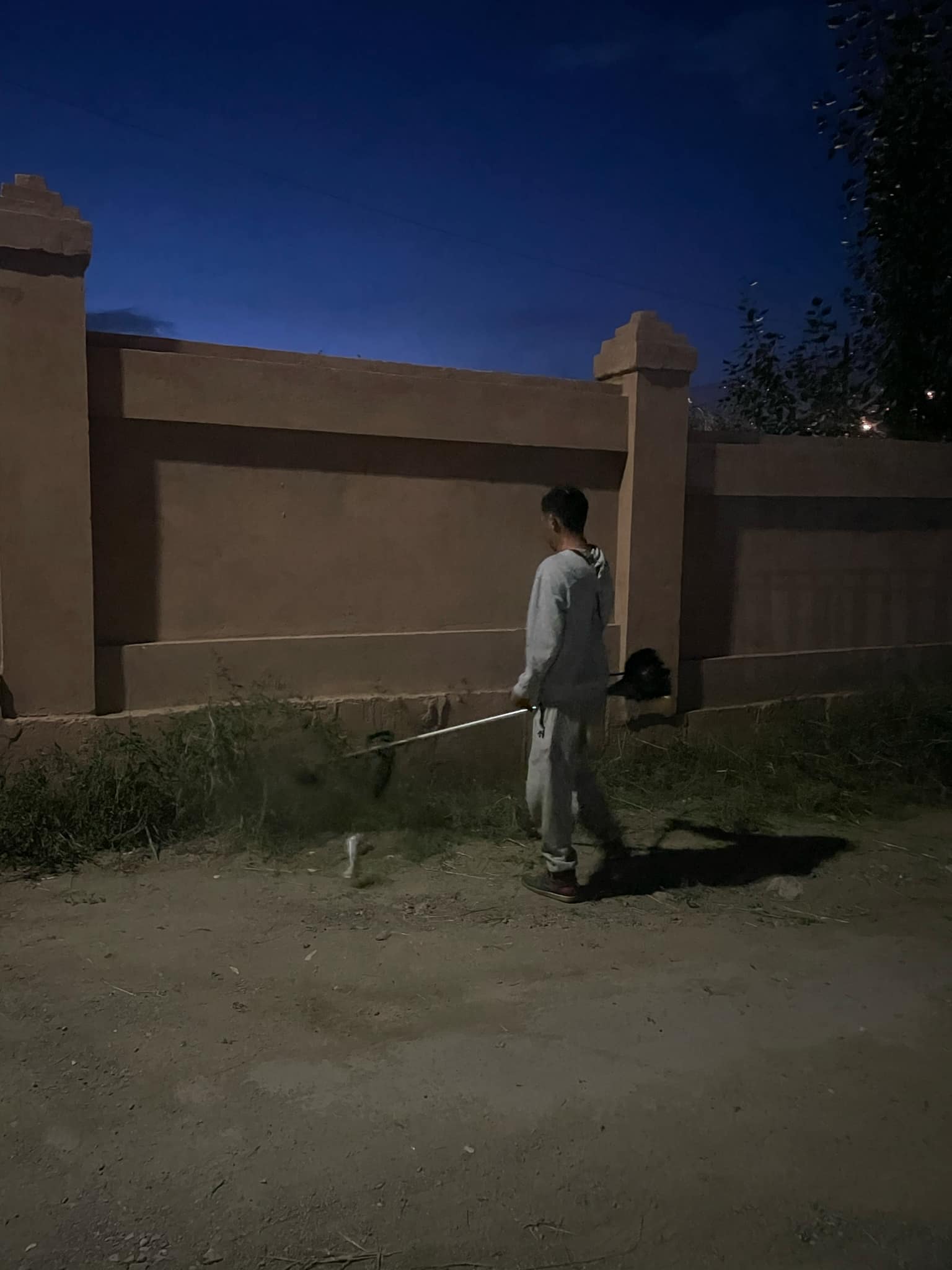 Байгууллагын хашааны гадна болон доторх шарилжийг хадаж ажиллаа